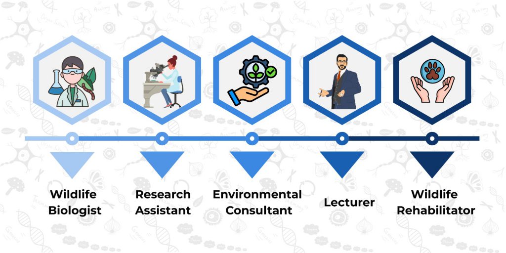 MSc Zoology Scope in India: Careers, Salary & Opportunities