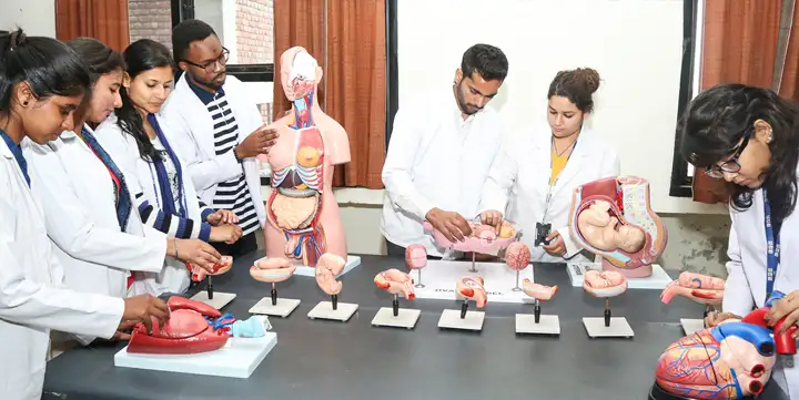 Top Physiotherapy Colleges in India 2025 - Entrance Exam, Scholarship ...