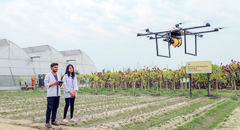 LPU - Placements at Lovely Professional University